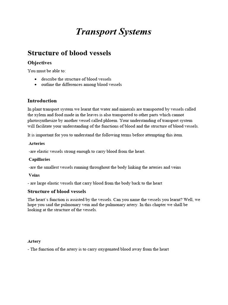 Transport System-Structure of Blood Vessels f4 | PDF | Artery | Vein