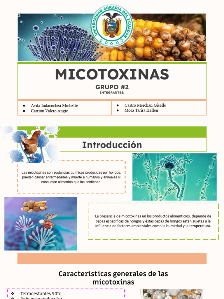 Grupo 2 - Micotoxinas | PDF | Micotoxinas | Medicina CLINICA
