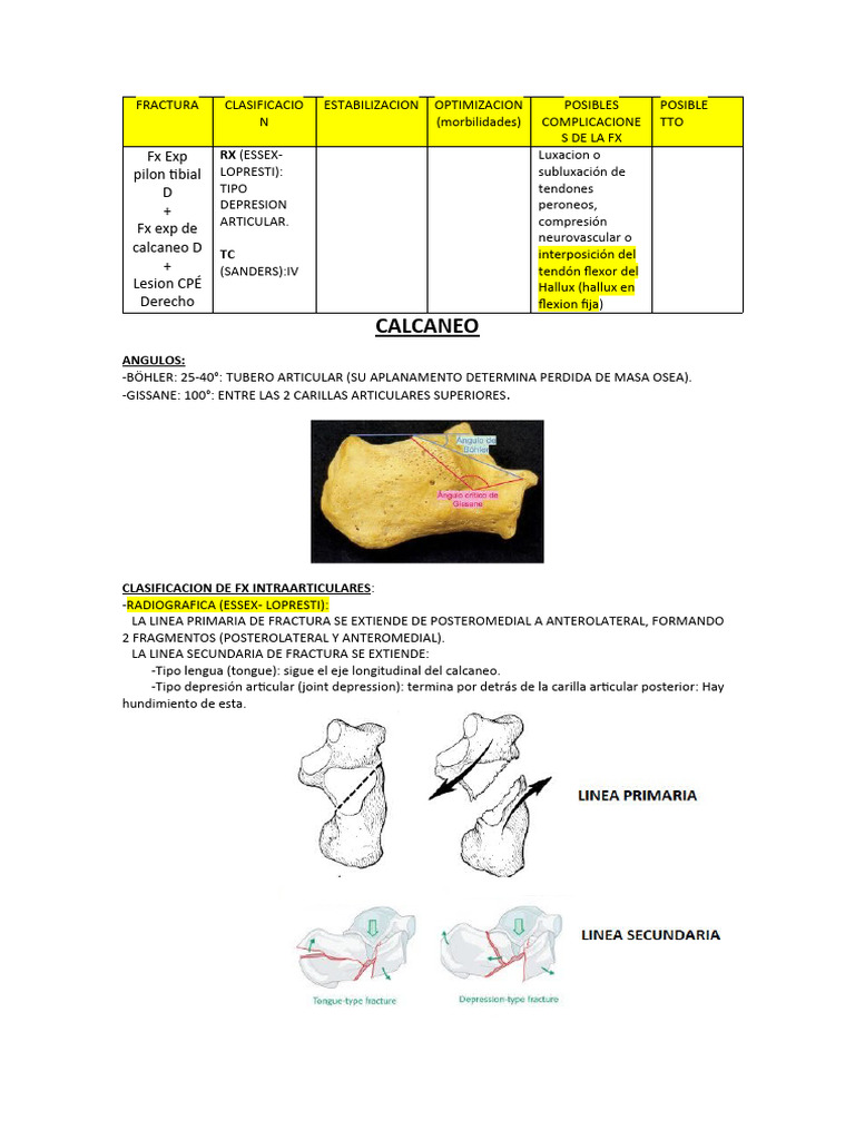 CALCANEO | PDF | Medicina CLINICA | Enfermedades y trastornos
