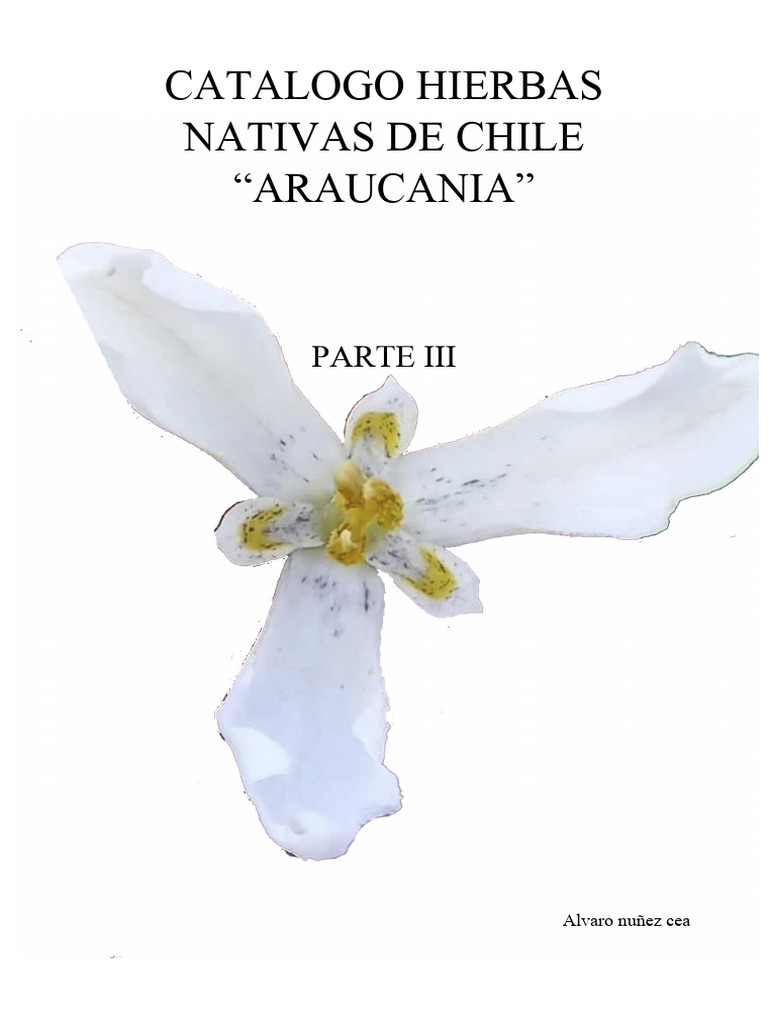 Herbaceas Nativas de Chile Araucanía Parte III | Descargar gratis PDF ...