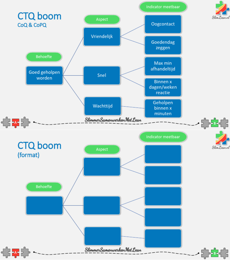 Lean Management Critical To Quality Tree | PDF