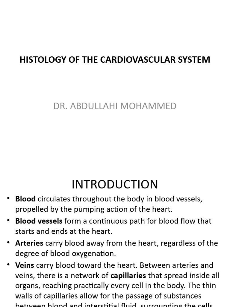 Histology of The Cardiovascular System | PDF | Artery | Vein