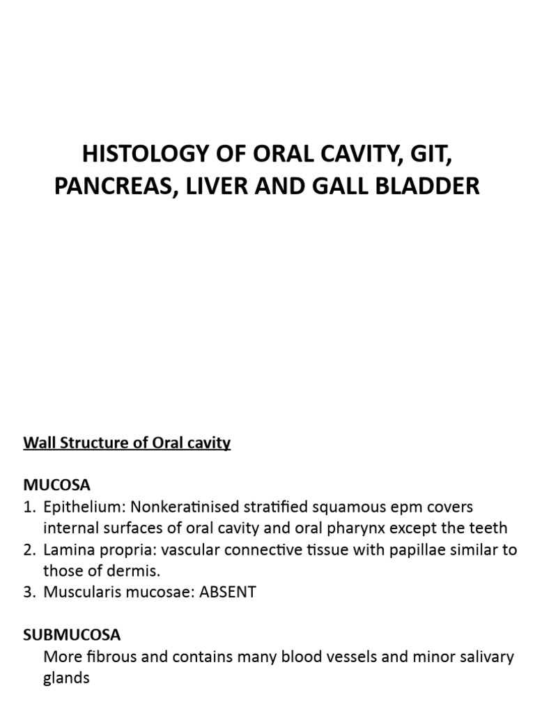 Histology of Digestive System | PDF | Human Digestive System | Liver