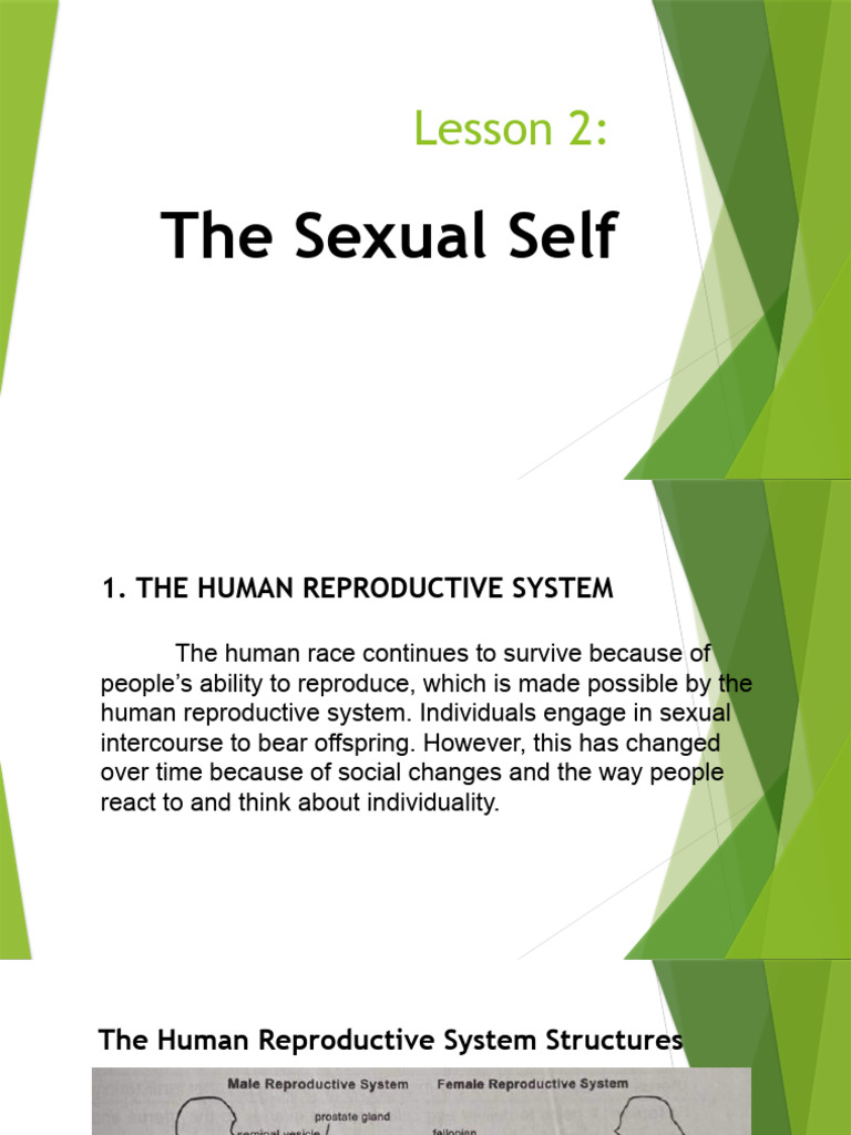 Lesson 2 Report UTS | PDF | Reproductive System | Human Reproduction