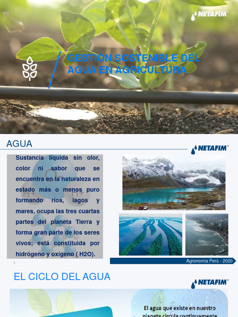 Uso Eficiente Del Agua | PDF | Agua | Riego