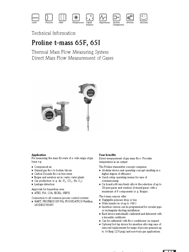 Proline T-Mass 65F, 65I: Technical Information | PDF
