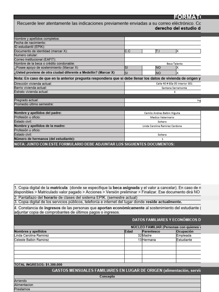 Formato Convocatoria Subsidios Oe 2023-2 | PDF