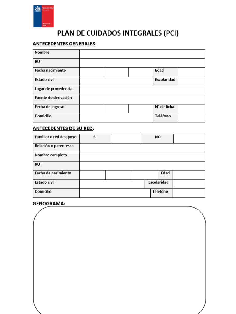 Formato Plan de Cuidados Integrales (PCI) | PDF | Ciencias de la Salud | Medicina