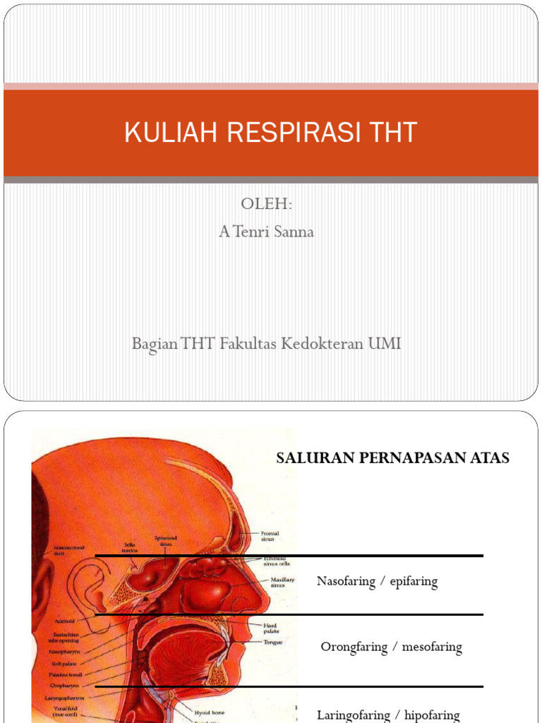 Kuliah THT: Hipertrofi Adenoid dan Karsinoma | PDF