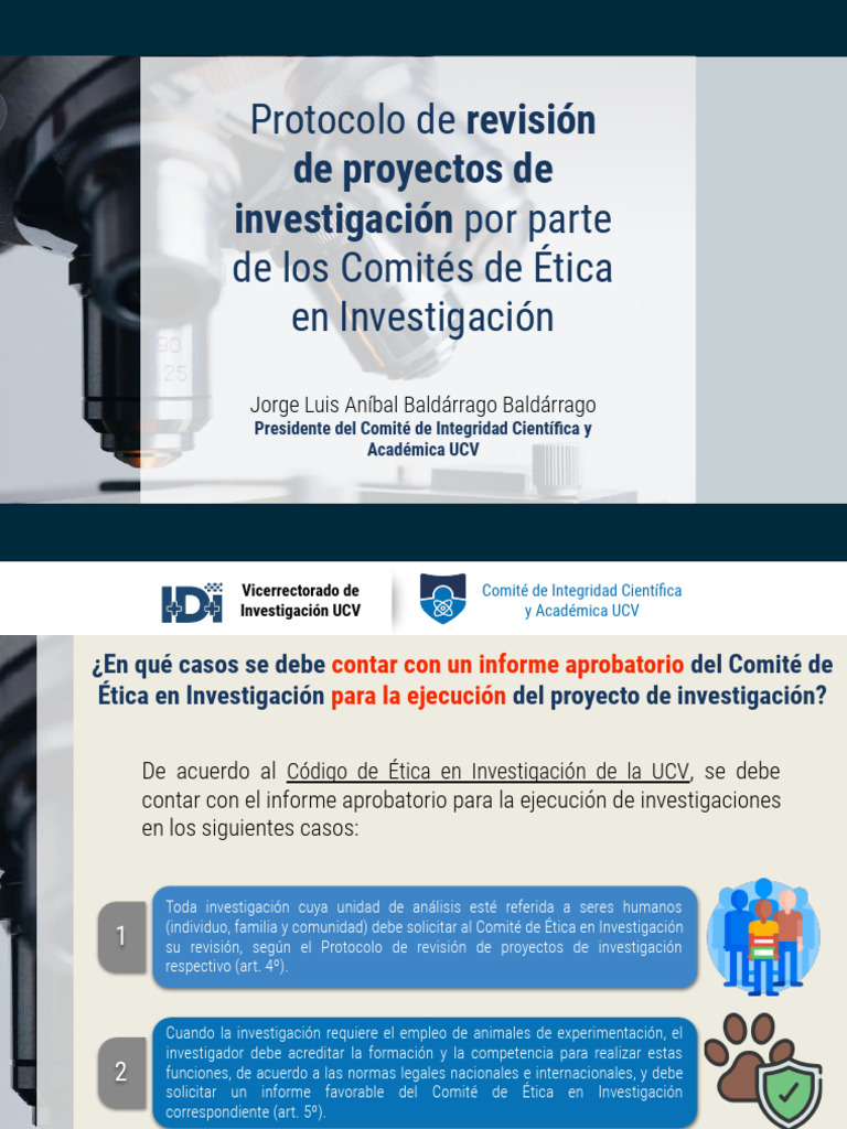 Protocolo de Revisión de Proyectos de Investigación Por Los CEI | PDF