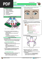 Gans Sensory Organization Performance (SOP) Test | PDF | Vertigo ...
