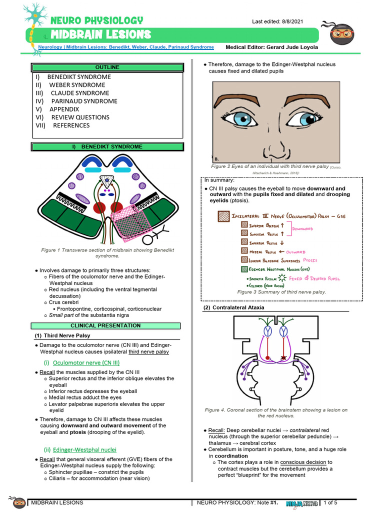 133 - Neurology Pathology - Midbrain Lesions Benedikt, Weber, Claude ...