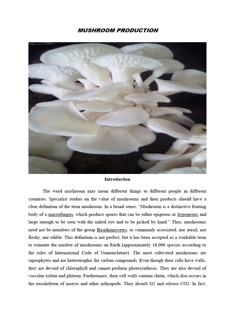 mushroom | PDF