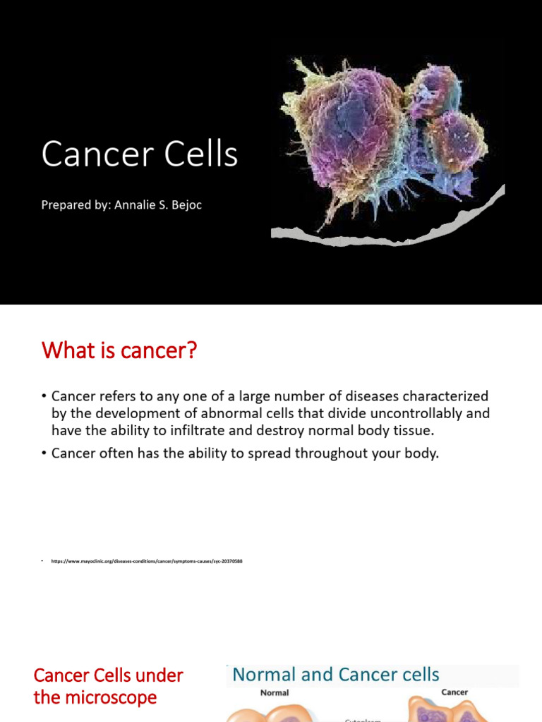 Cancer Cells | PDF