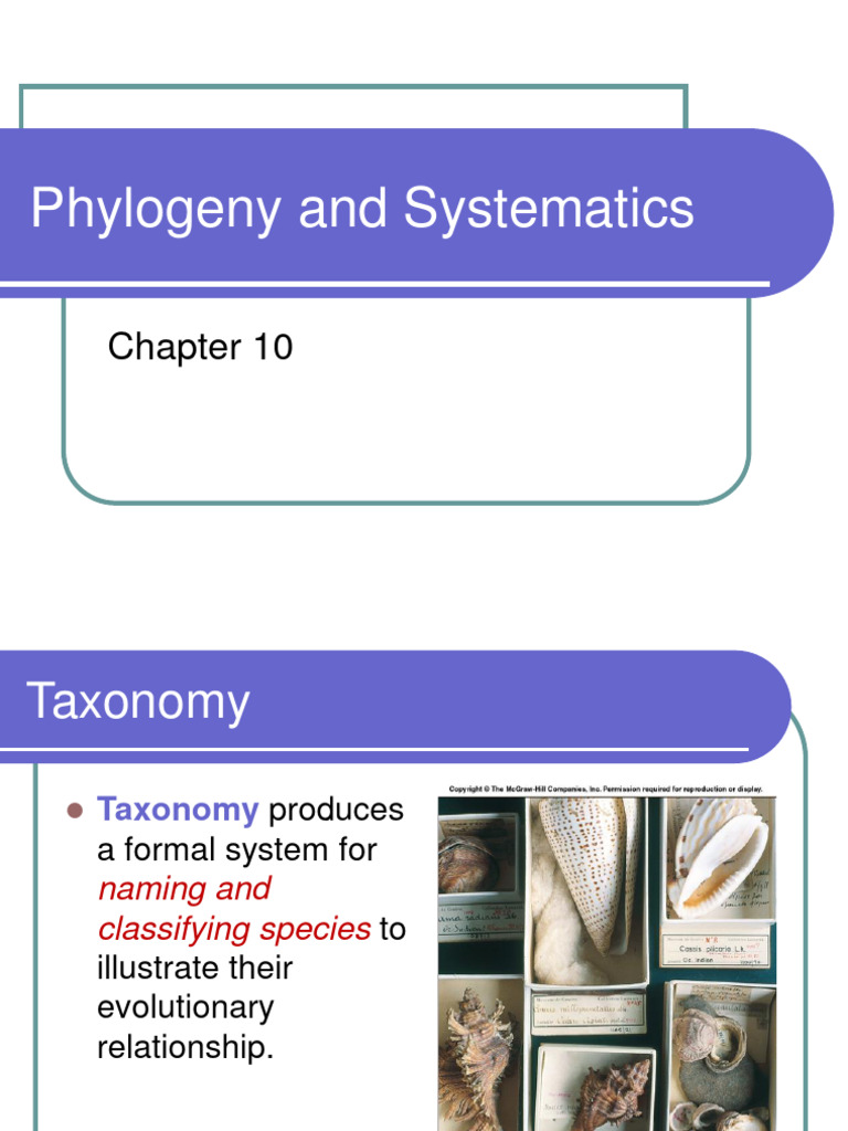 Classification and Phylogeny of Animals | PDF | Taxonomy (Biology ...