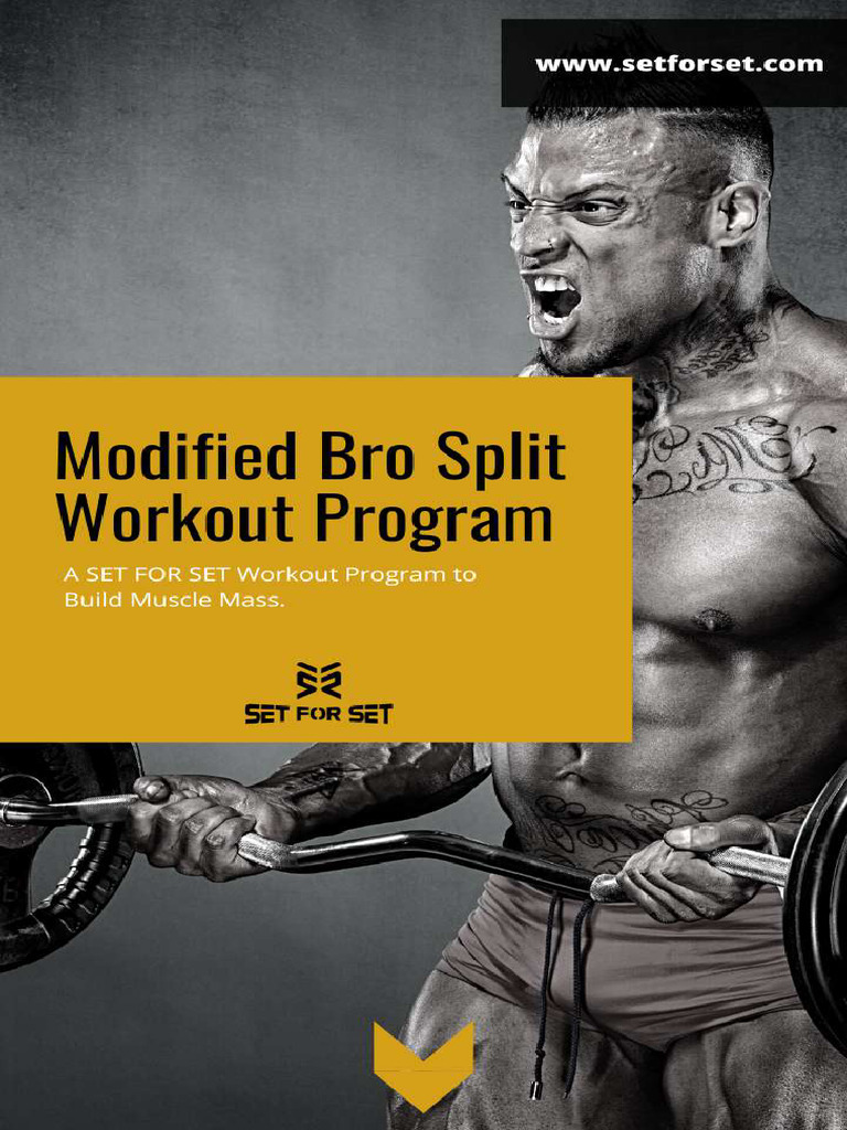 SFS Modified Bro Split Workout Program | PDF | Weight Training ...