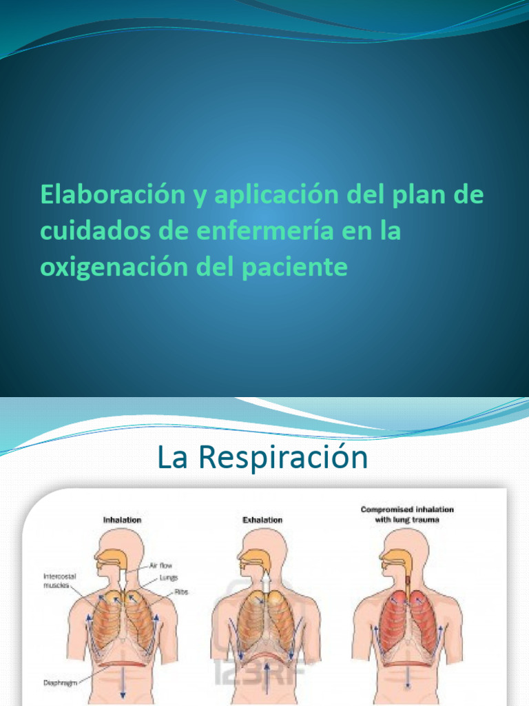 Oxigen Oter Apia | PDF | Sistema respiratorio | Pulmón