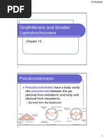 Urochordata Classification Overview | PDF | Chordates