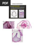 GV Black's Cavity Classification Guide | PDF | Tooth Enamel | Dentistry ...
