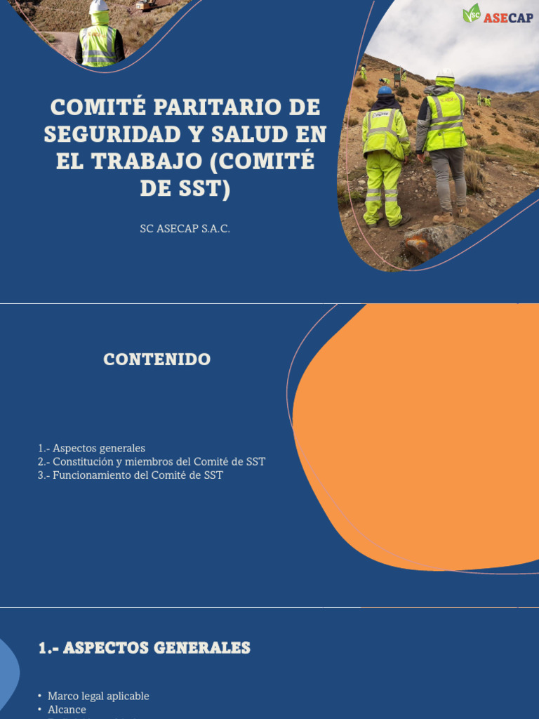 Presentación 003 - Comité de SST | PDF | Seguridad y salud ocupacional ...