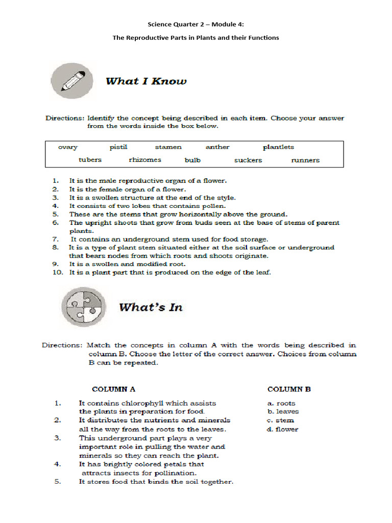 Science Quarter 2 Answer Sheet | PDF | Flowers | Pollination