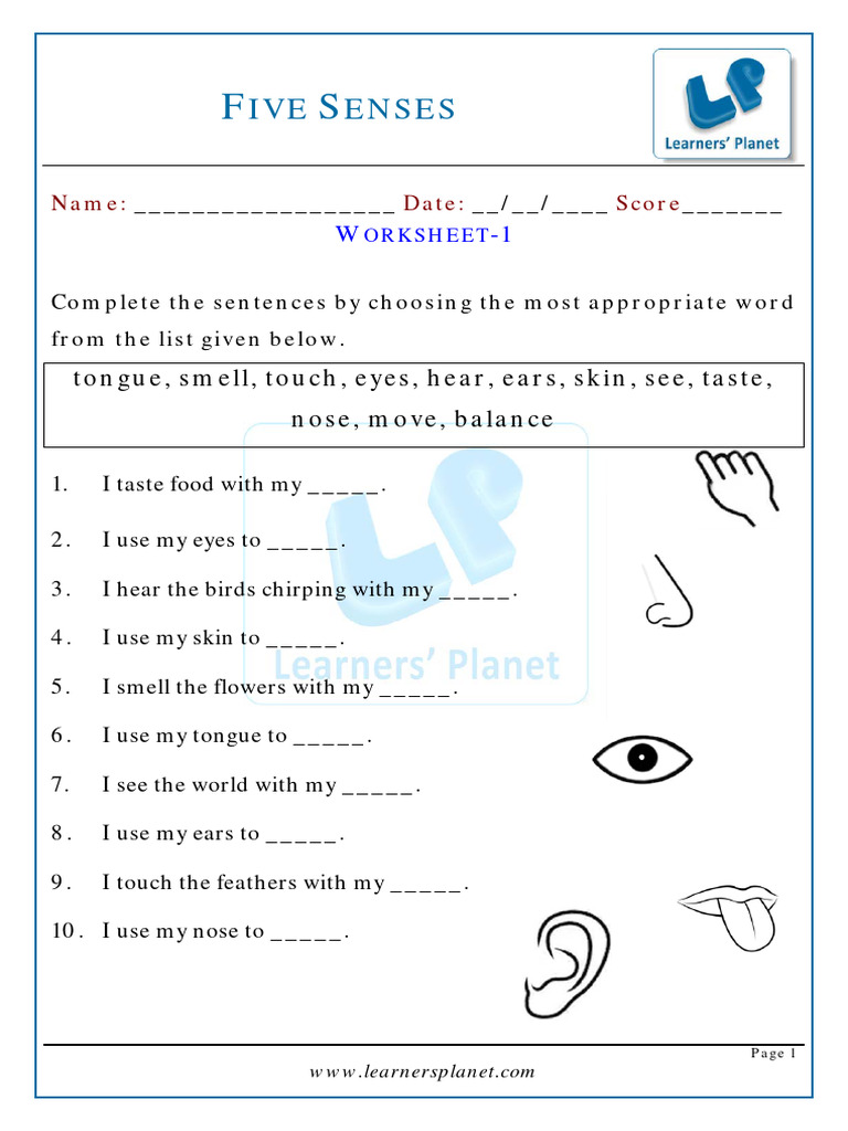 Five Senses Worksheet for Grades 1-3 | PDF