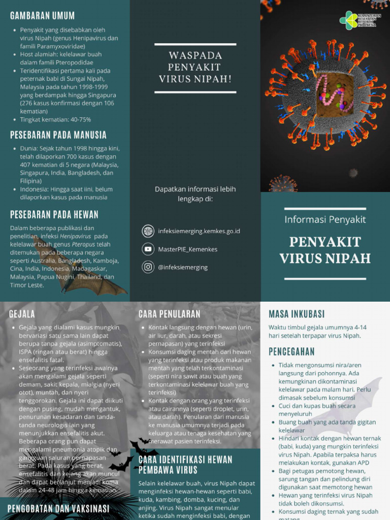 Leaflet Penyakit Virus Nipah | PDF