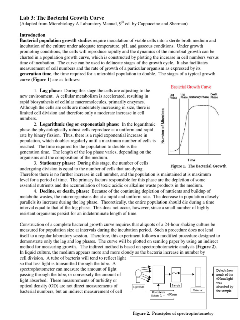 Bacterial Growth Curve Experiment | PDF | Spectrophotometry ...
