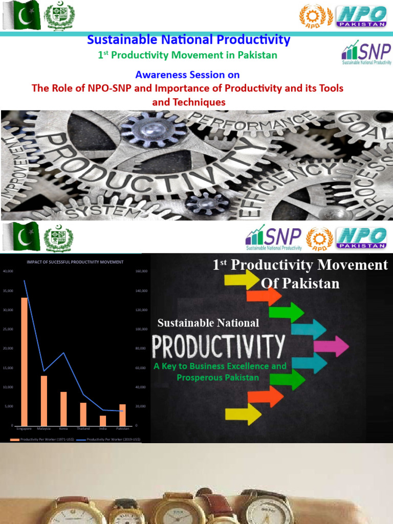 SNP Presentation | PDF | Factors Of Production | Economies
