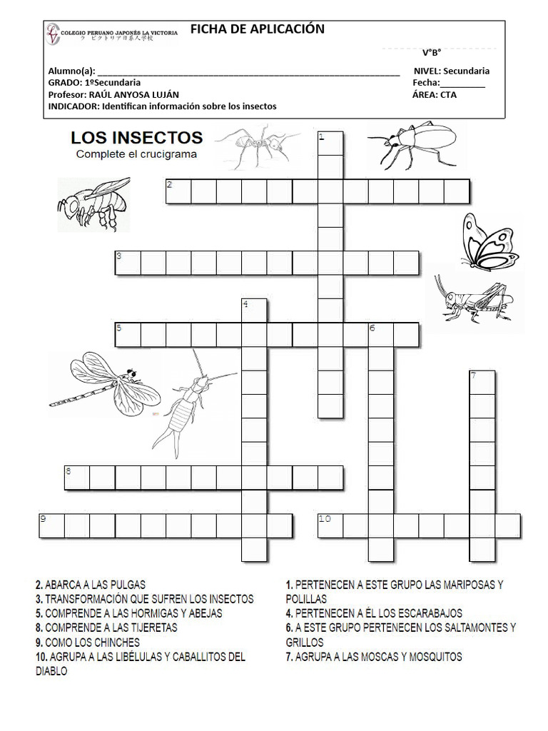 FICHA DE APLICACIÓN - Insectos | PDF | Ciencia y matemáticas | Informática