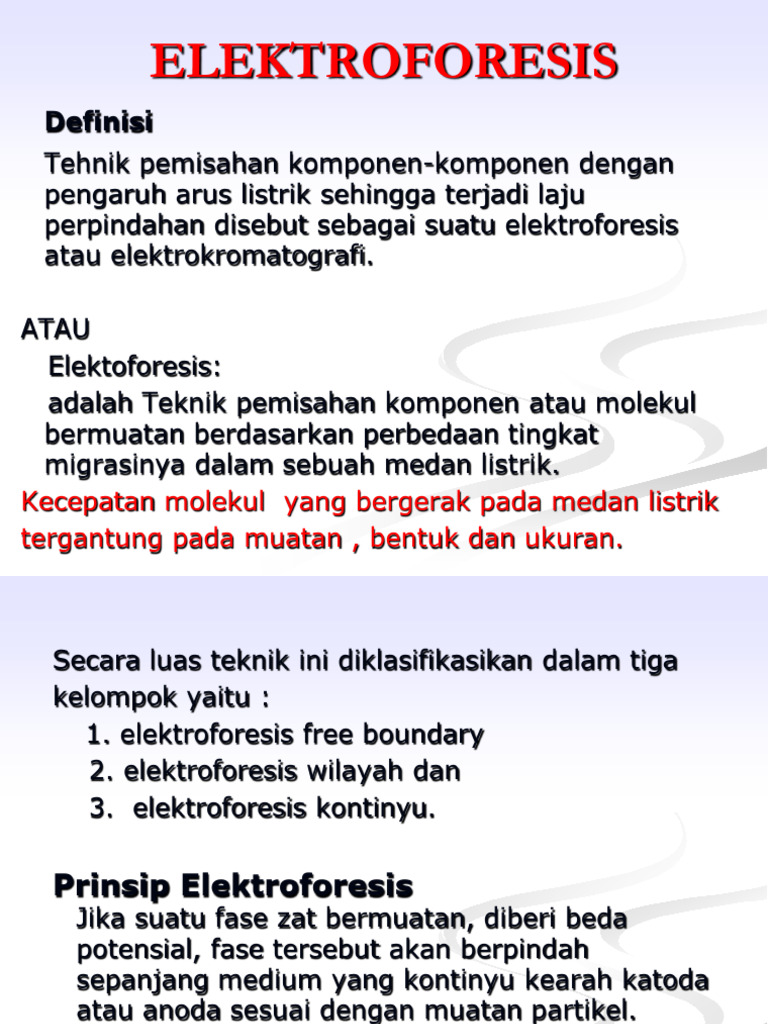 Panduan Lengkap Elektroforesis | PDF