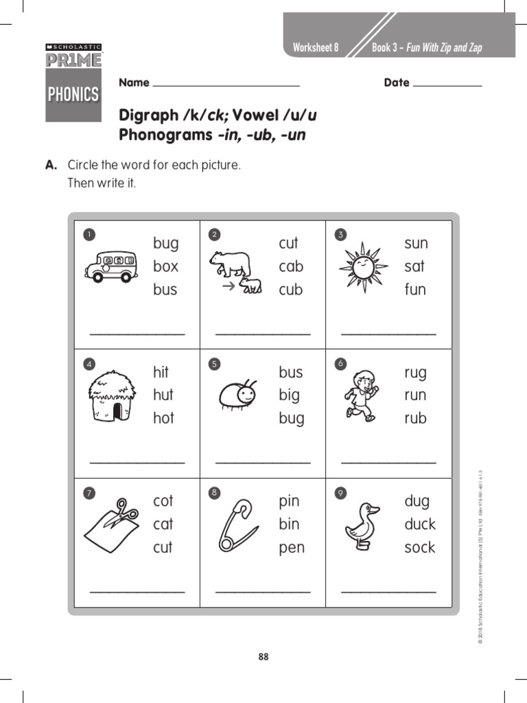 Phonics Worksheet: Digraphs & Vowels | PDF