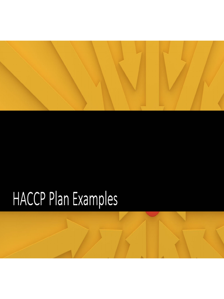 HACCP Plan Examples and Insights | PDF