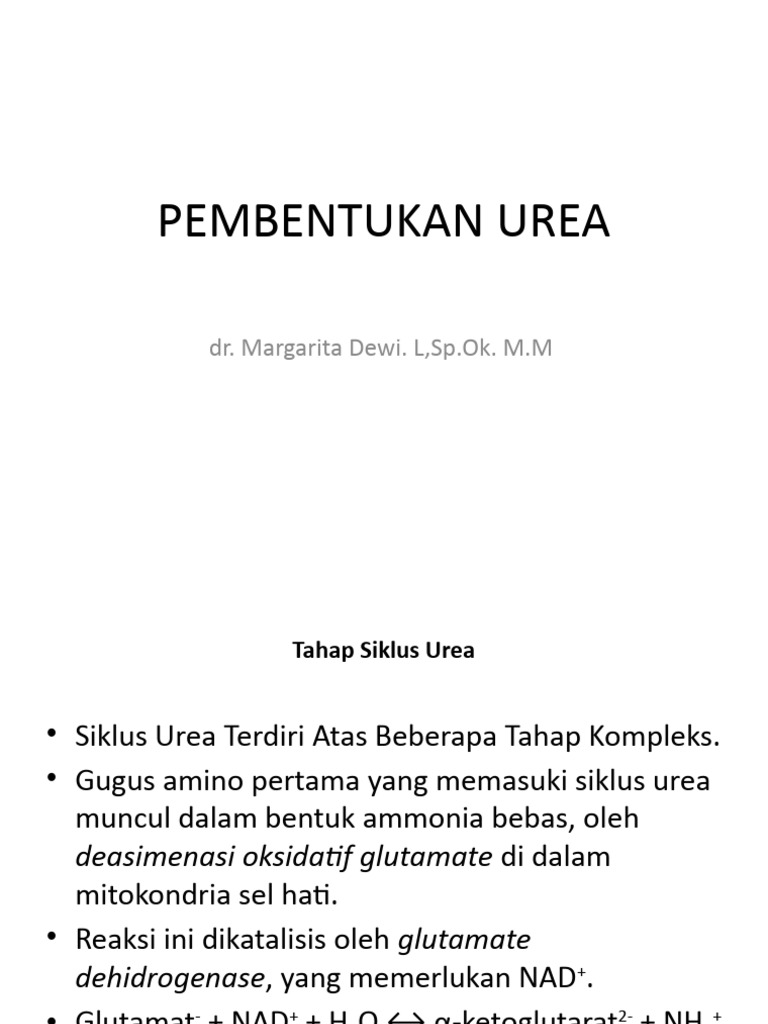 Siklus Urea dan Pembentukan Urine | PDF