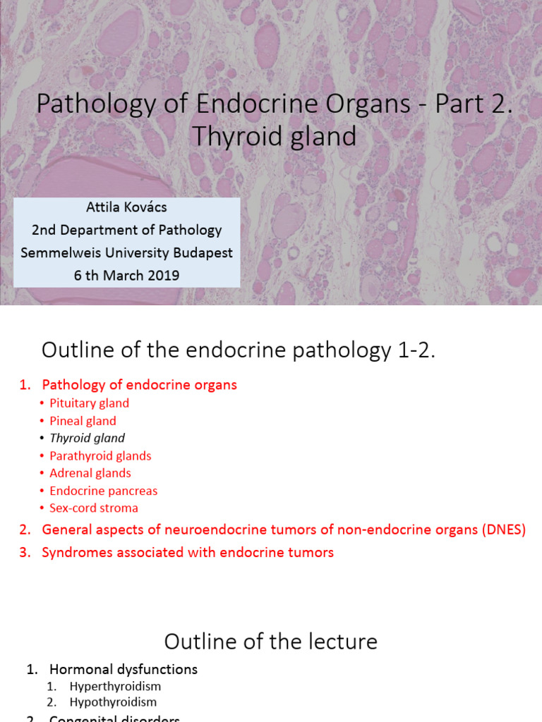 Endocrine Pathology Pdf Thyroid Hyperthyroidism