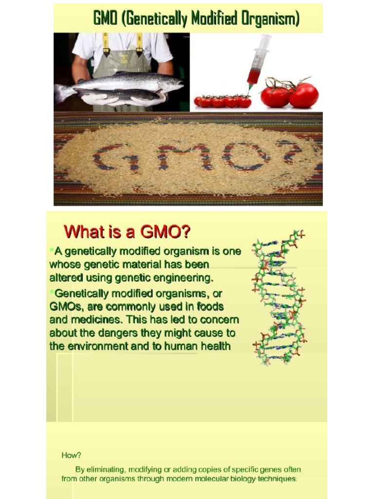 Gmo | PDF
