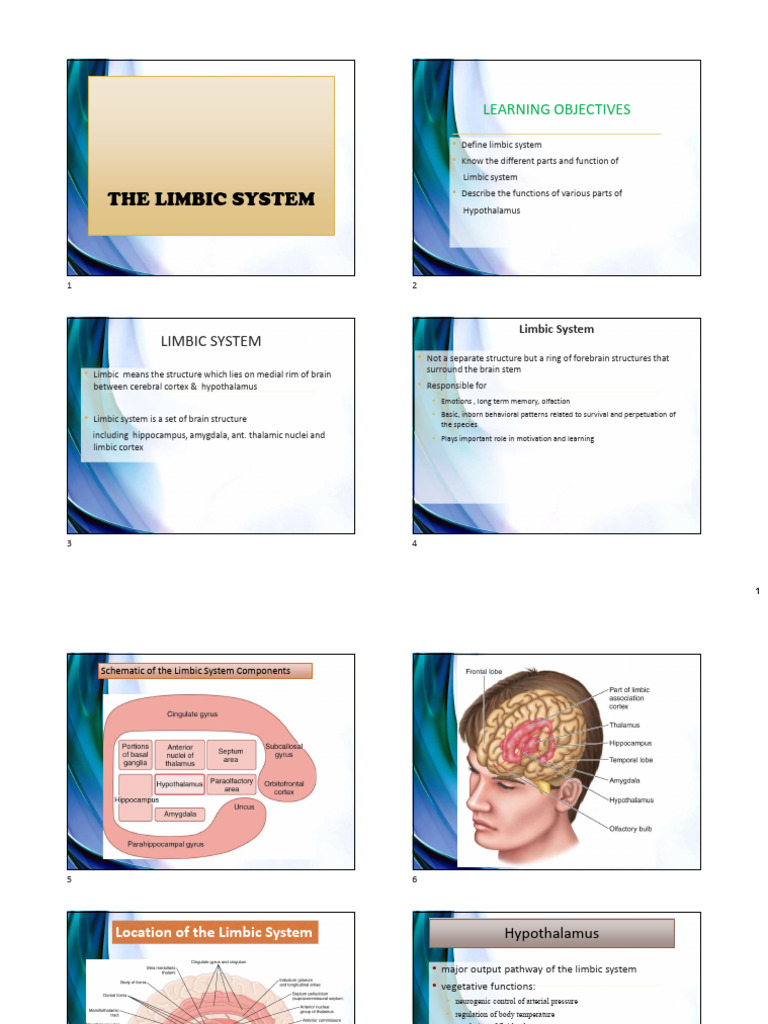 Limbic N Homeo | PDF | Limbic System | Hypothalamus