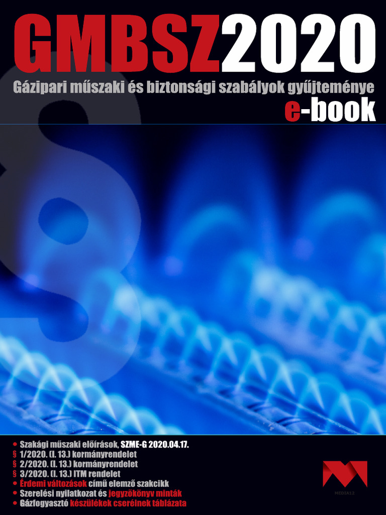 GMBSZ 2020 e Book | PDF