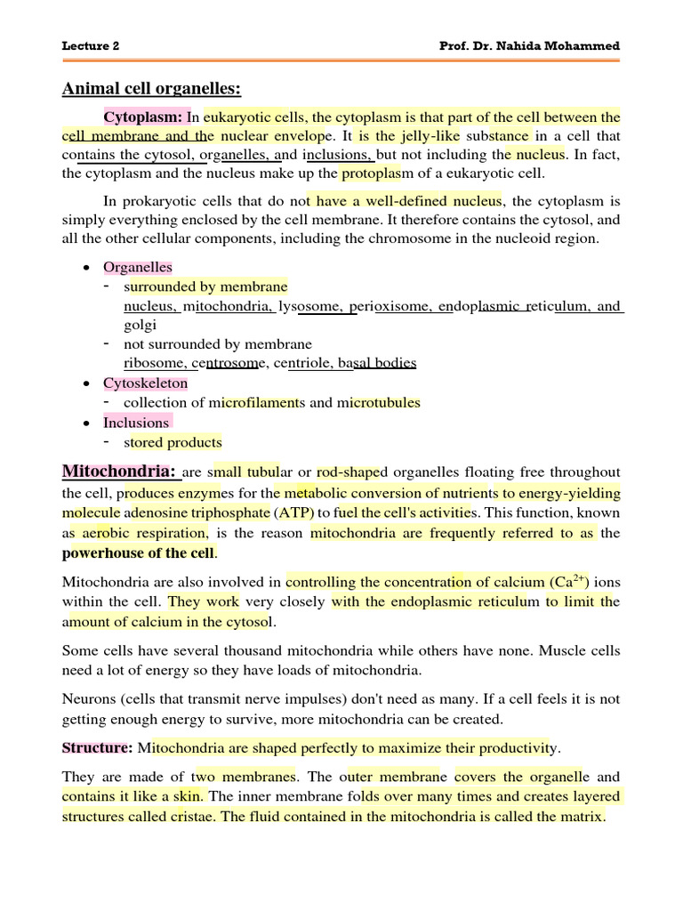 بايو م 2 | PDF | Endoplasmic Reticulum | Lysosome