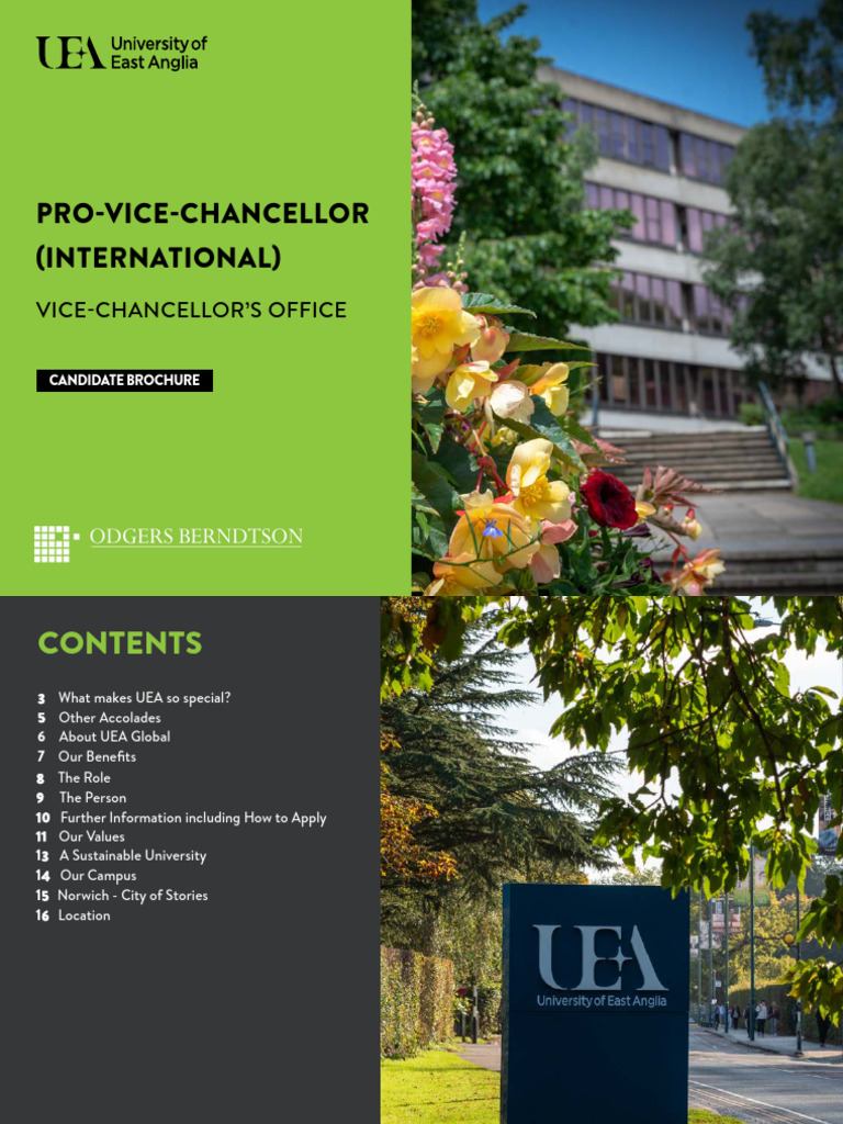 Candidate Brief PVC International UEA | PDF | Empowerment