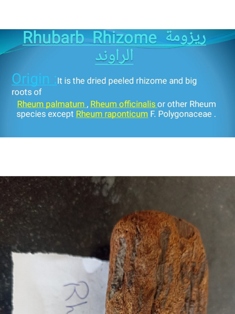 origin and Shape of entire spots | PDF