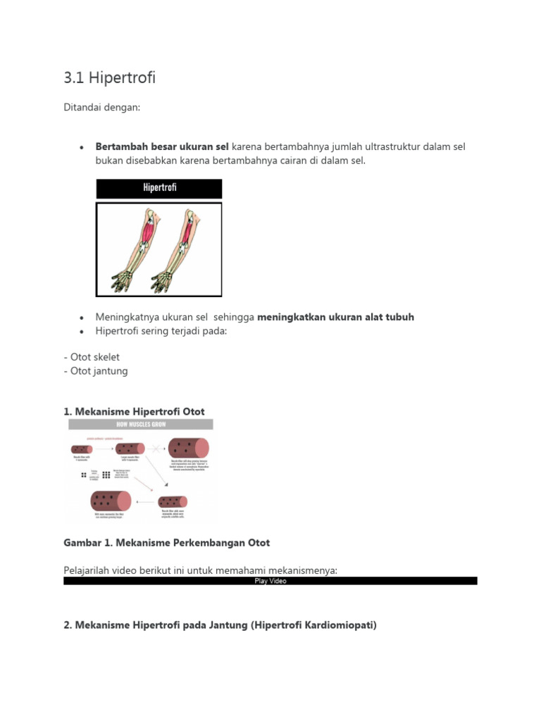 Hipertrofi dan Hiperplasia Seluler | PDF | Pengembangan Diri | Sains ...