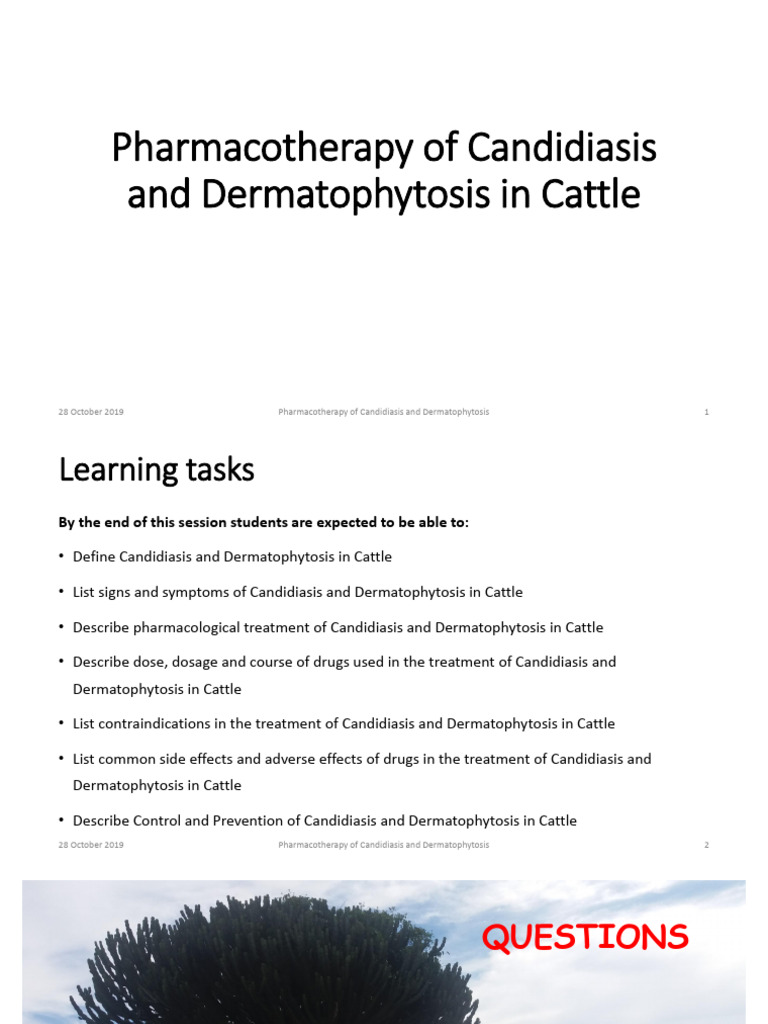 7 - Pharmacotherapy of Candidiasis and Dermatophytosis in Cattle-1 ...