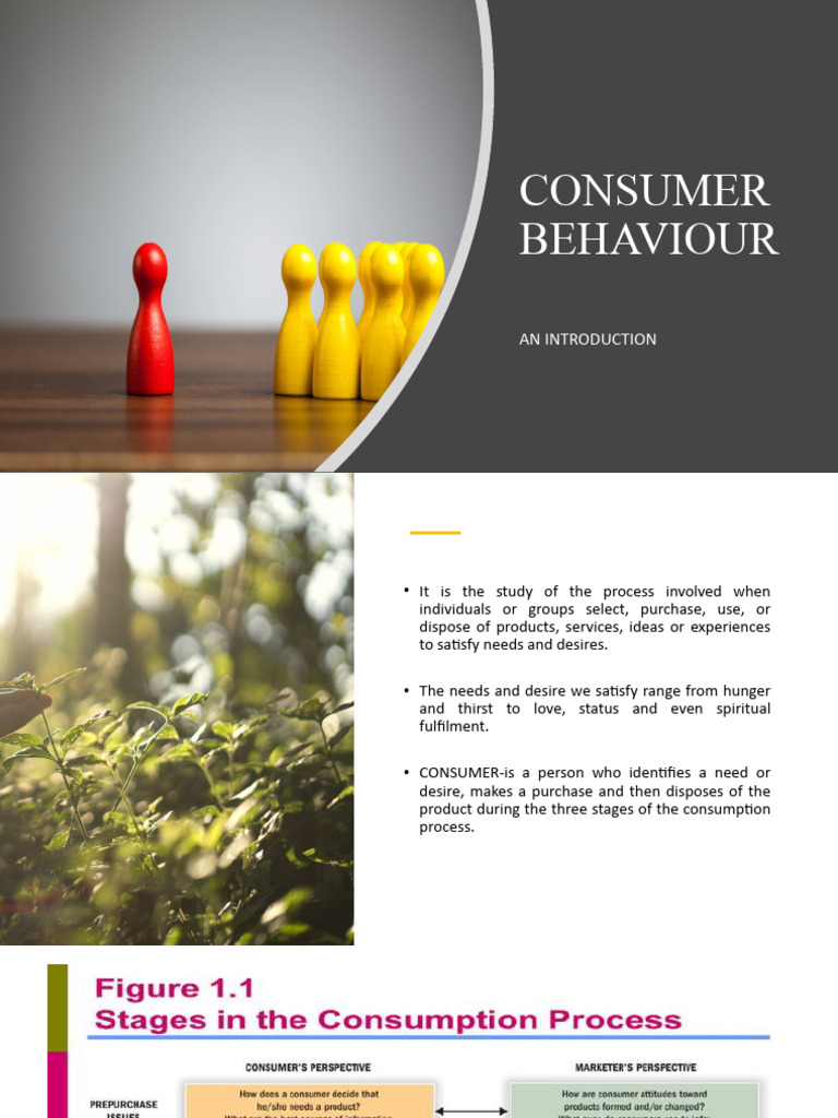 Consumer Behaviour Introduction | PDF | Career & Growth | Social Science