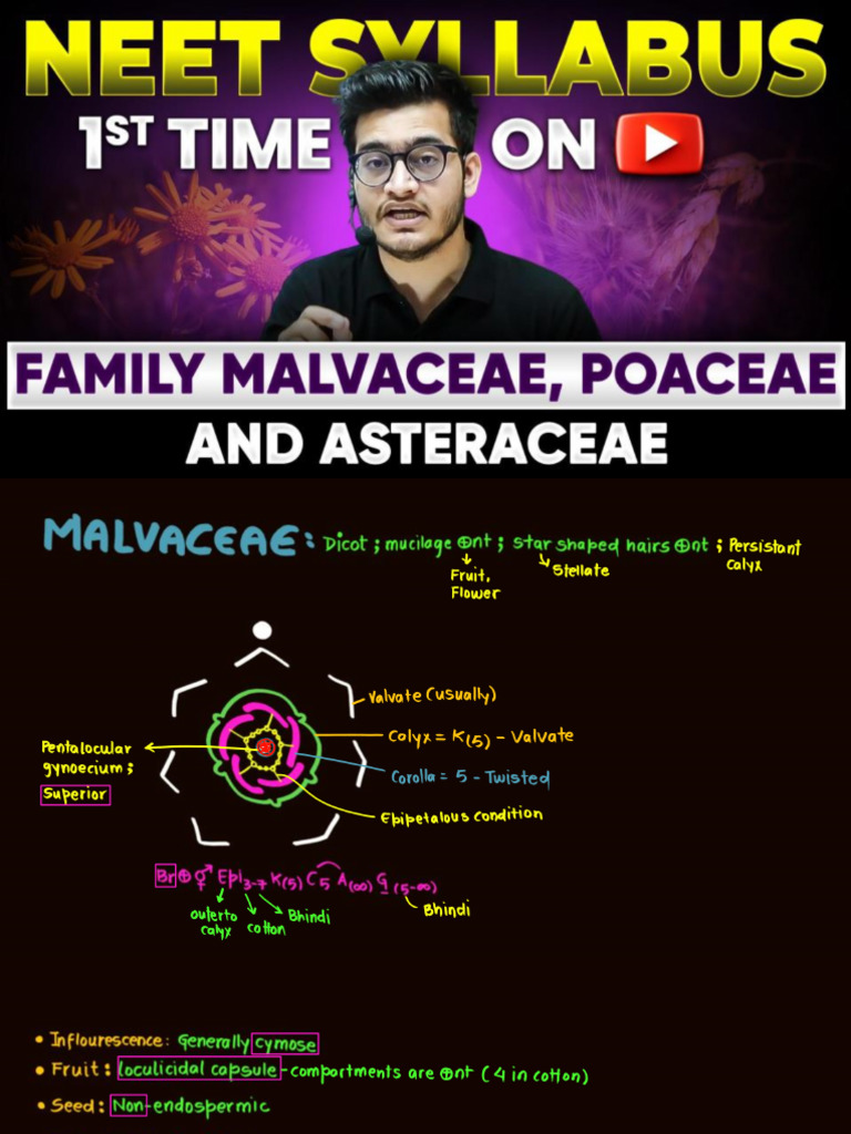 Families Notes | PDF