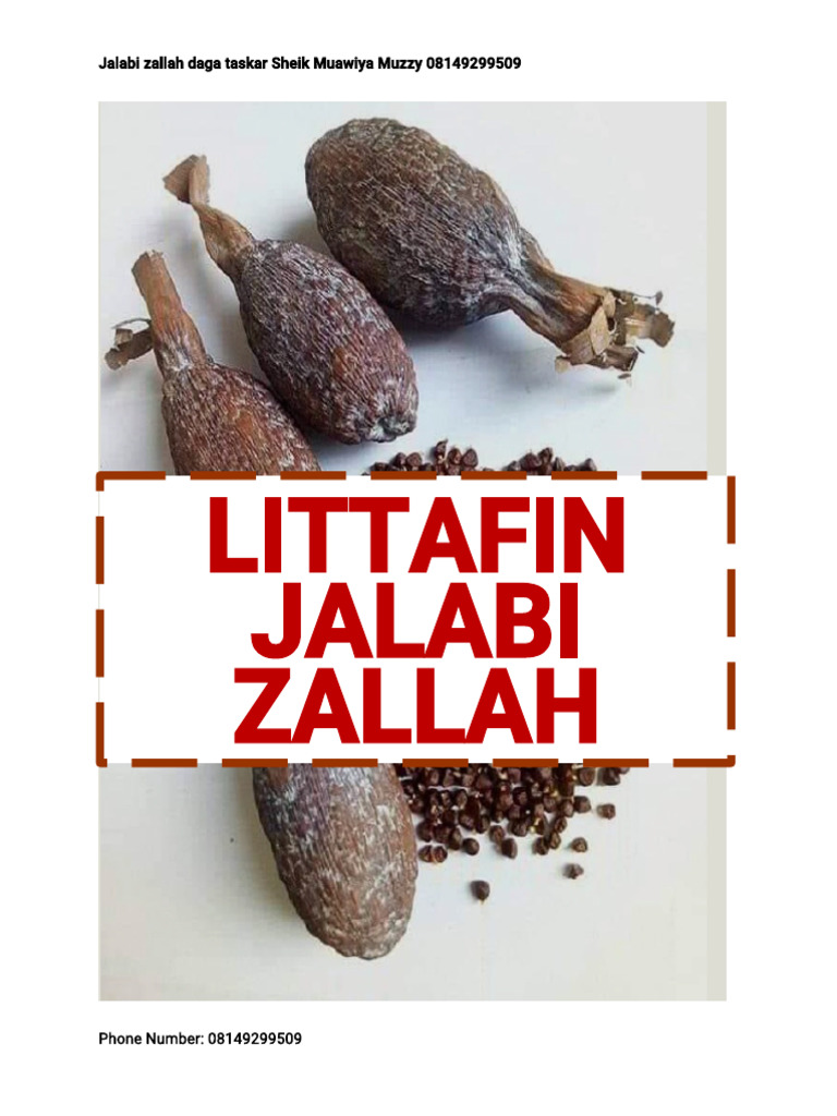 Jalabi Zallah Hausa | PDF