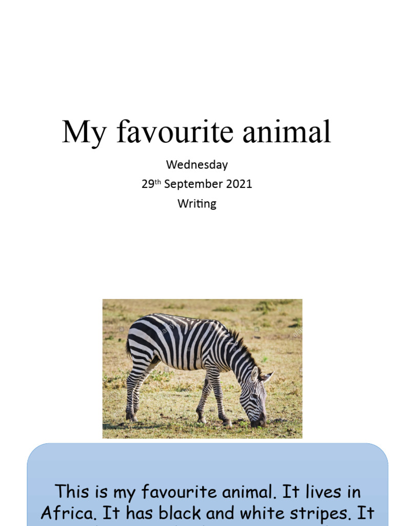 My Favourite Animal | PDF