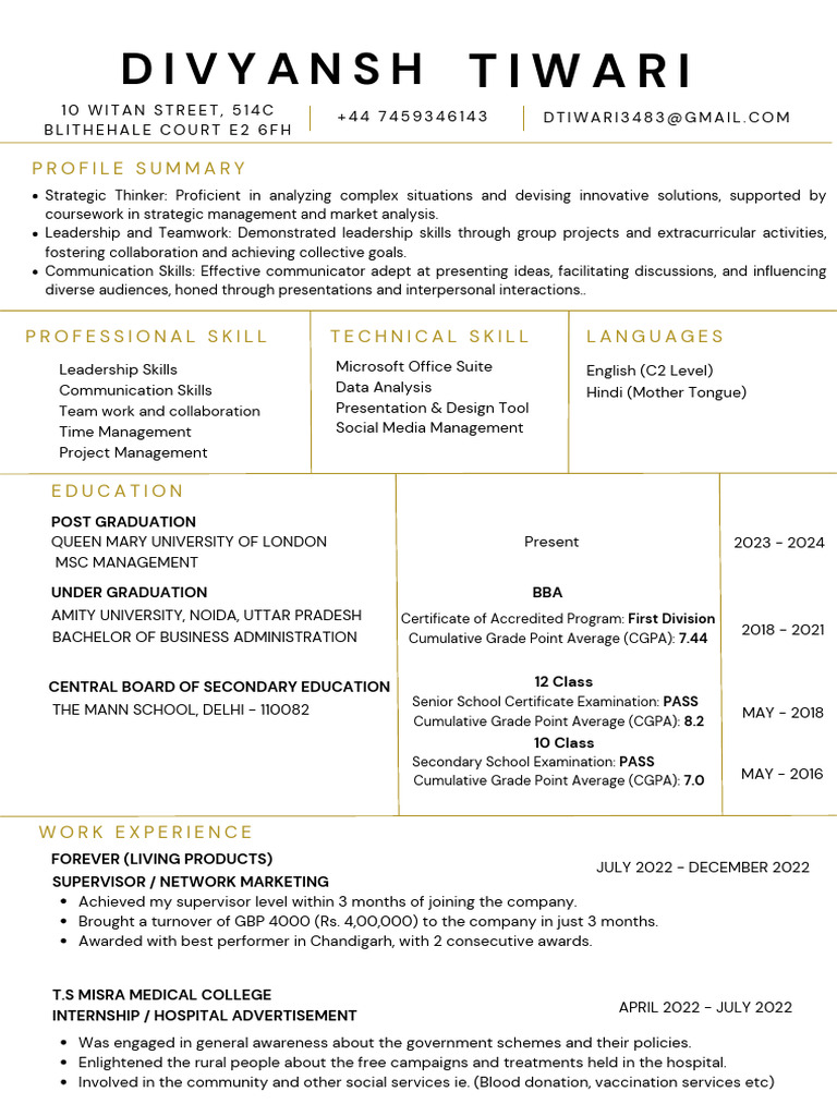 White Gold Elegant Minimalist Data Analyst Resume CV A4 Printable | PDF ...