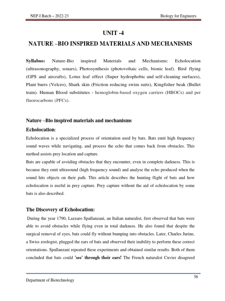 Biology For Engineers, Unit-IV | PDF | Medical Ultrasound | Photosynthesis