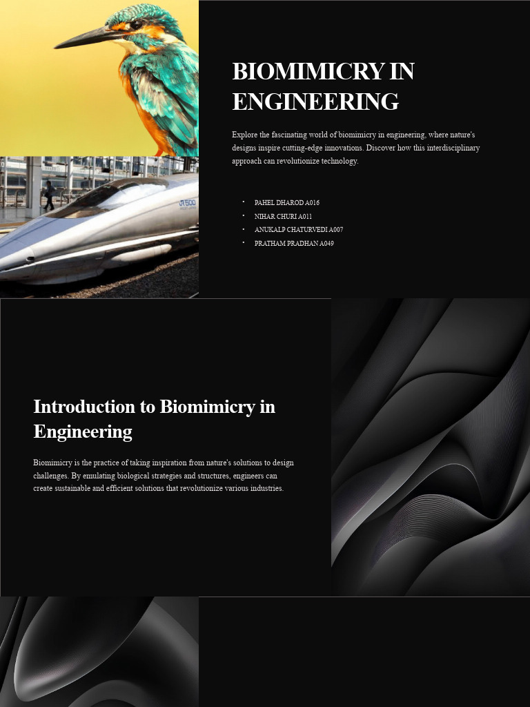 Biomimicry in Engineering - Final | PDF | Physical Sciences | Applied ...